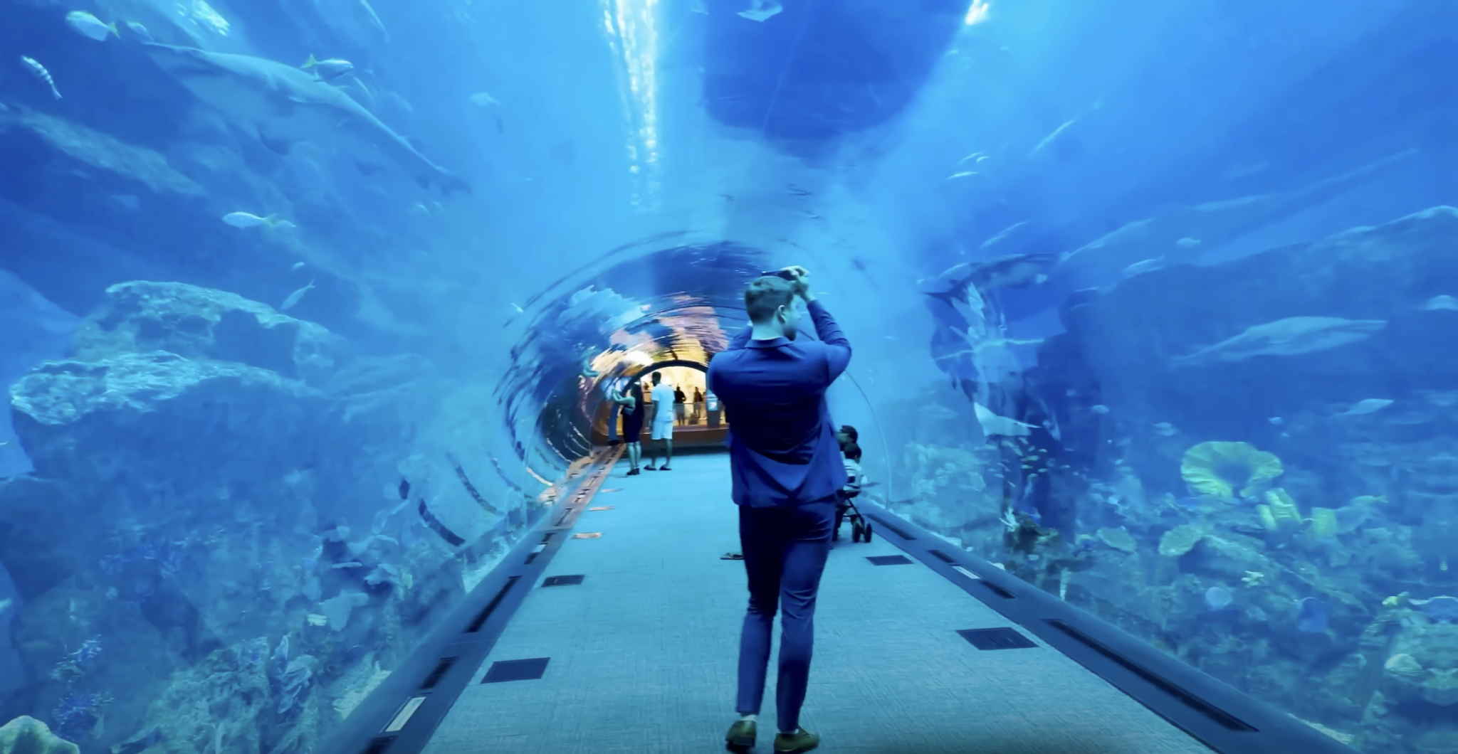 Info about Dubai Aquarium & Underwater Zoo in Dubai Mall
